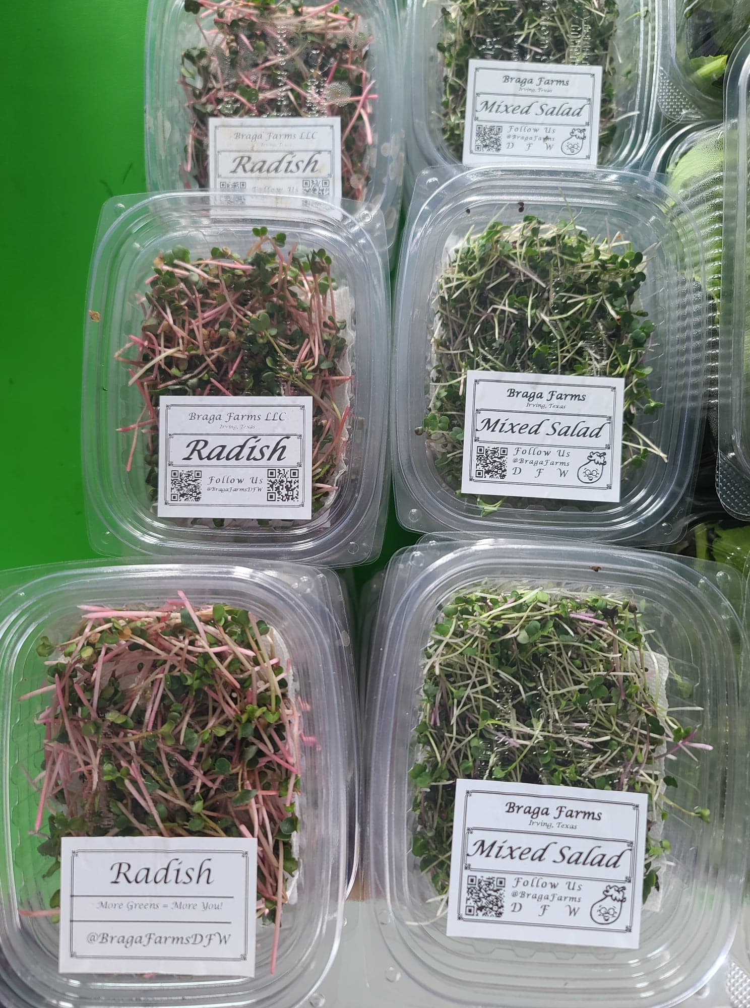 Microgreens - 2 Pack salad mix