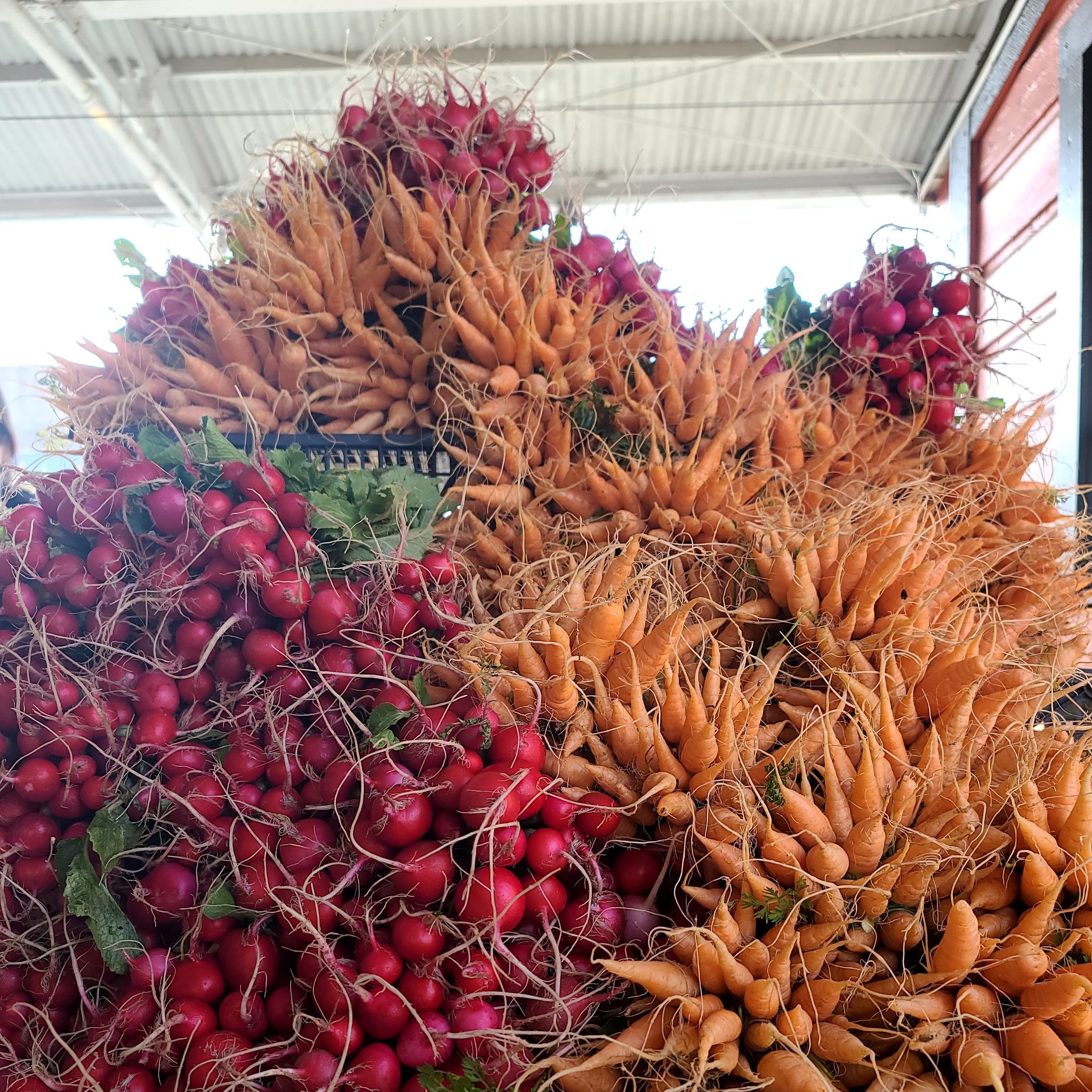 Freshest Greens in Dallas | Braga Farms DFW | Plant - Seed - Share