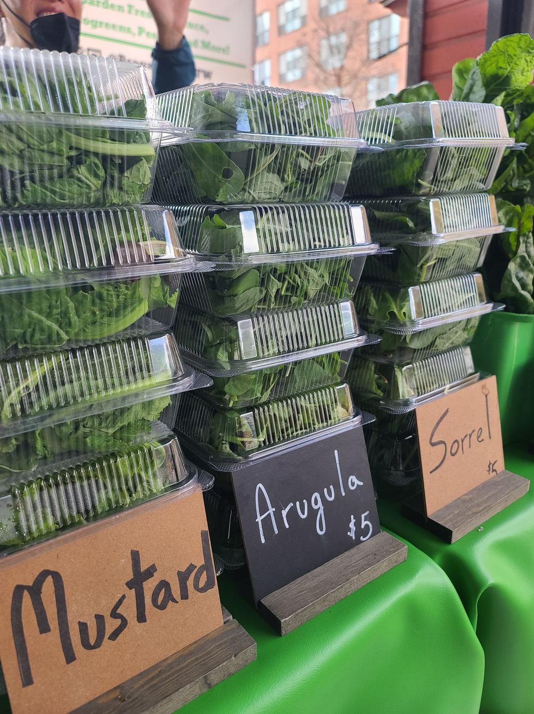 Freshest Greens in Dallas | Braga Farms DFW | Plant - Seed - Share